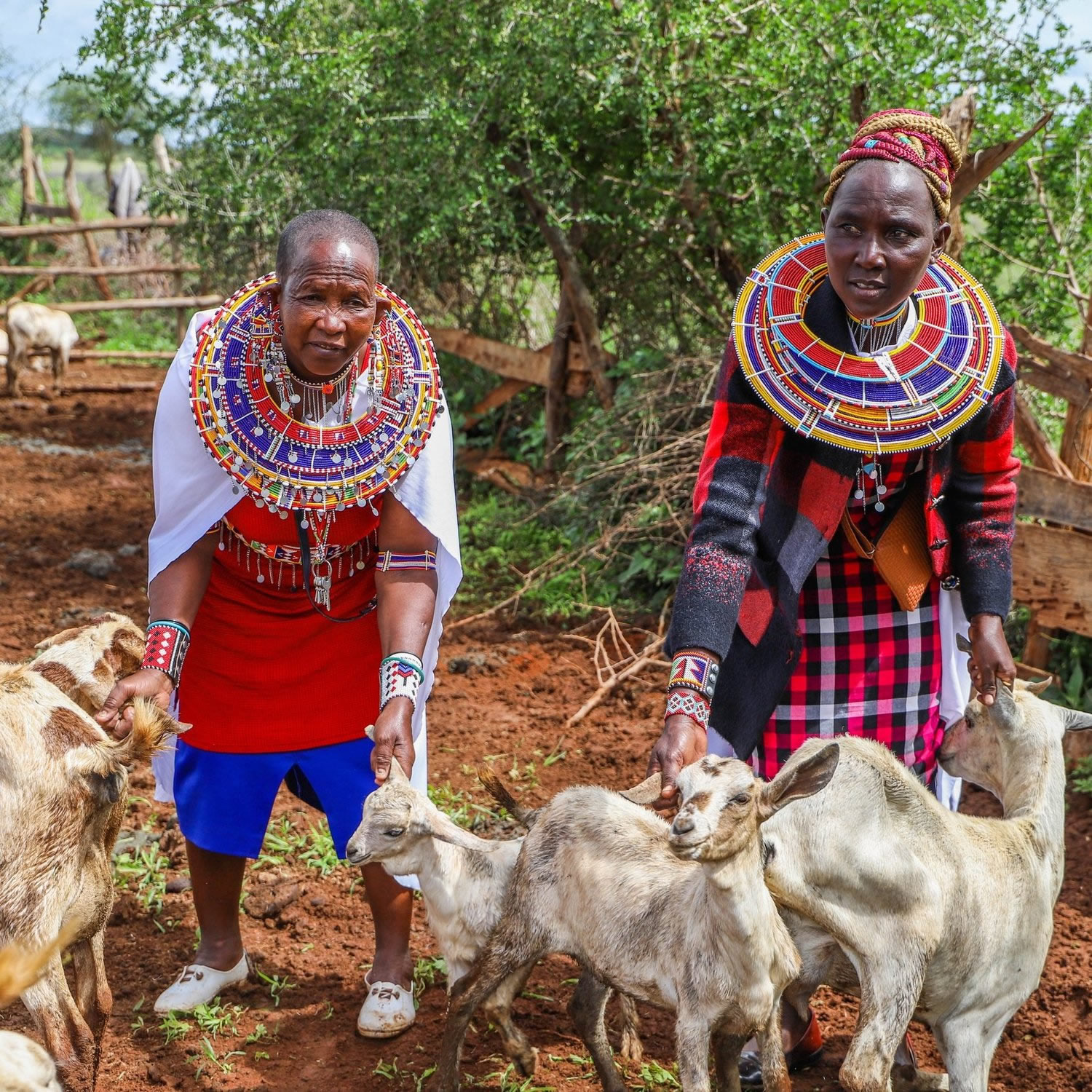 Growing Local Economies | The Brighter Futures Foundation