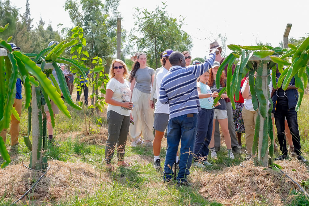 Growing Local Economies | The Brighter Futures Foundation